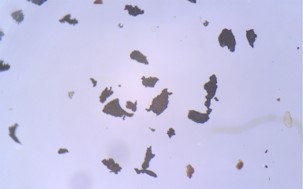 Microplastics quantification and characterisation • Microplastics Field ...